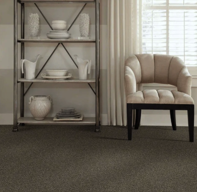 Points of Color by Shaw | Carpets in Dalton