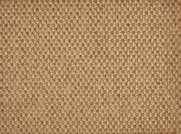 Madagascar Remix by Stanton Carpet | Carpets in Dalton