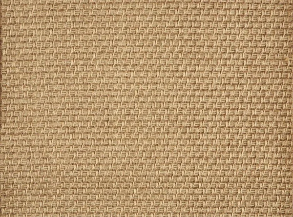 Madagascar Remix by Stanton Carpet | Carpets in Dalton