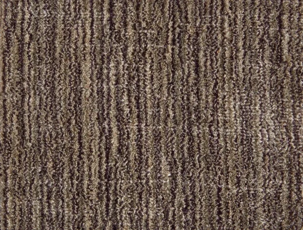 Piazza Lineage 2 by Stanton Carpet | Carpets in Dalton