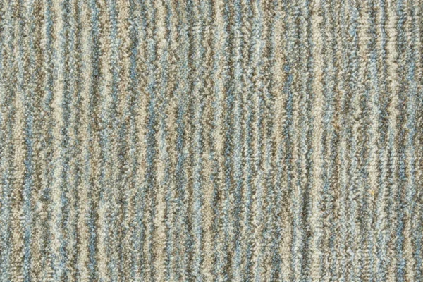 Piazza Lineage 2 by Stanton Carpet | Carpets in Dalton