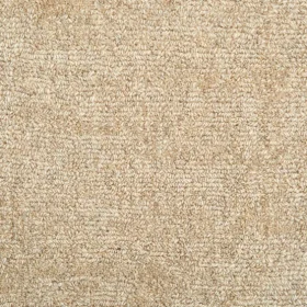 Piazza by Stanton Carpet | Carpets in Dalton