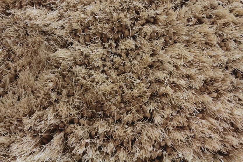 Shaggy Stratus by Stanton Carpet | Shag Wall-to-Wall | Rug