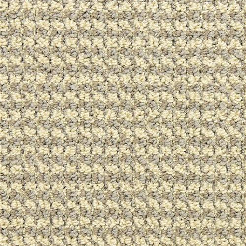 Tango by Masland Carpet | | Carpets in Dalton