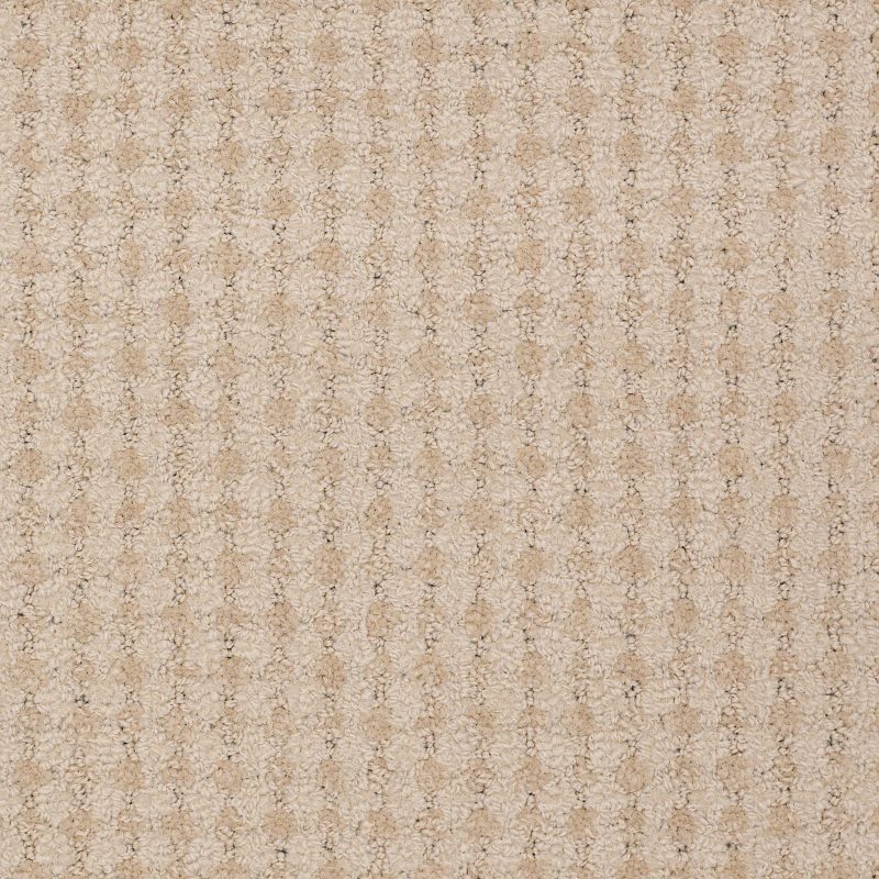 METRO LIFE by Philadelphia Commercial | Carpets in Dalton