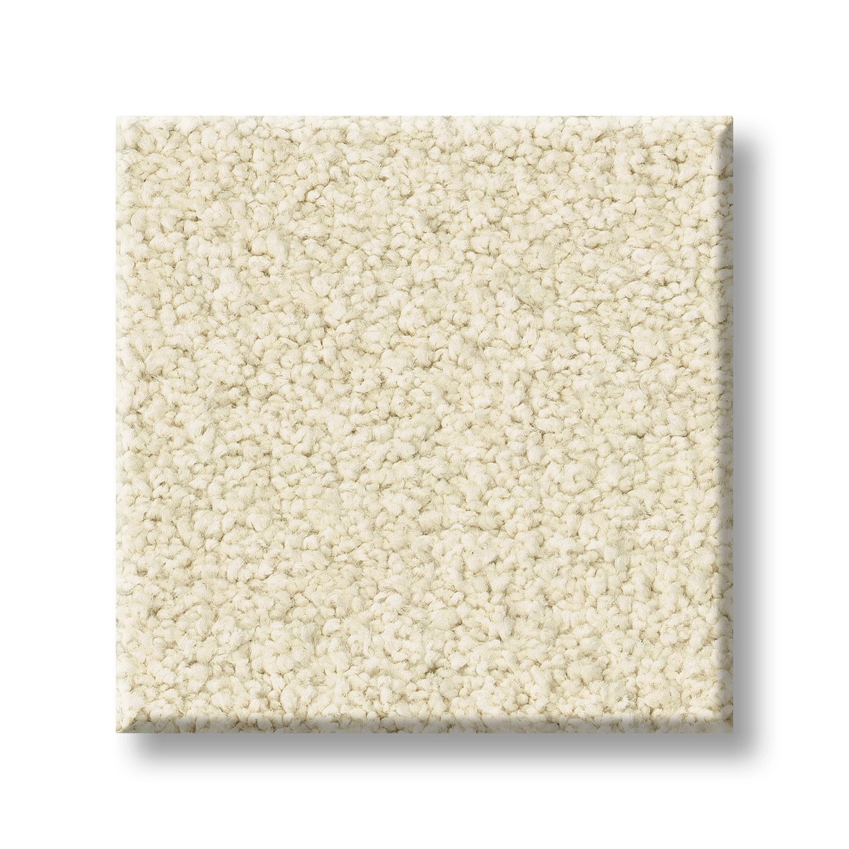 CASHMERE III by Anderson Tuftex | Carpets in Dalton