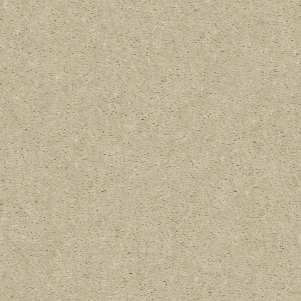 HEROIC by Shaw Floors | Carpets in Dalton
