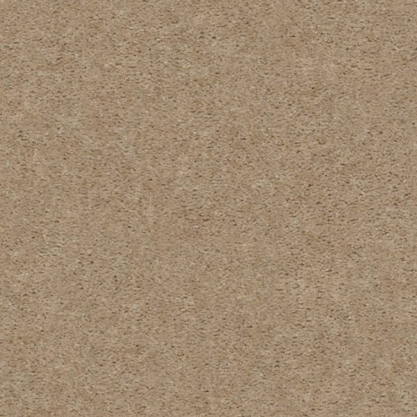 HEROIC by Shaw Floors | Carpets in Dalton