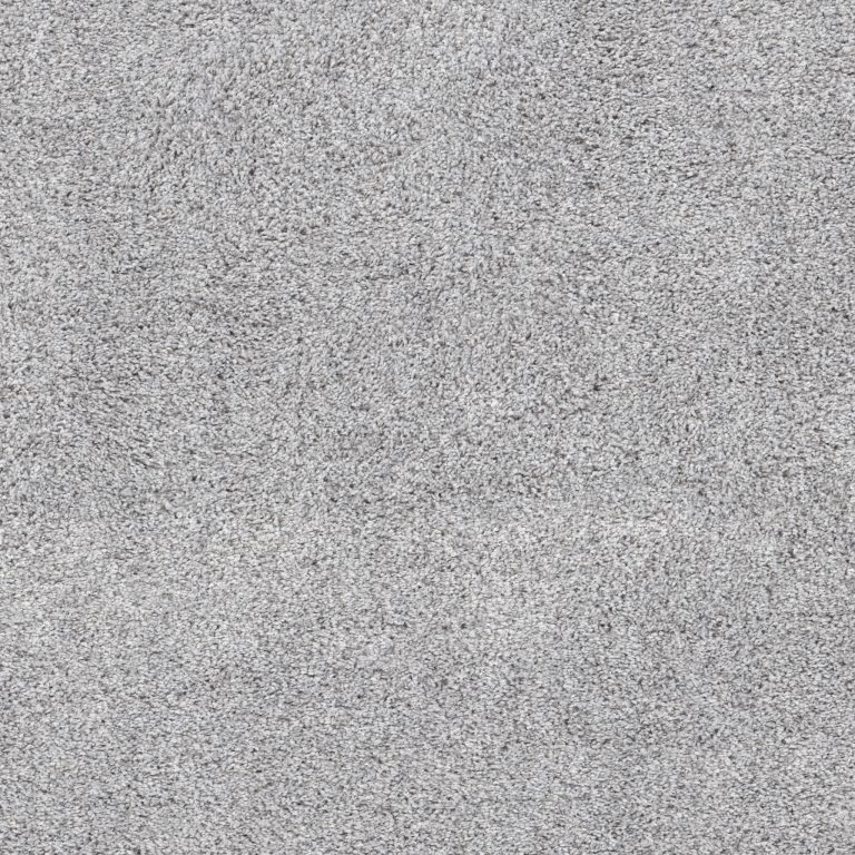 QUIET SANCTUARY by Shaw Floors | Carpets in Dalton