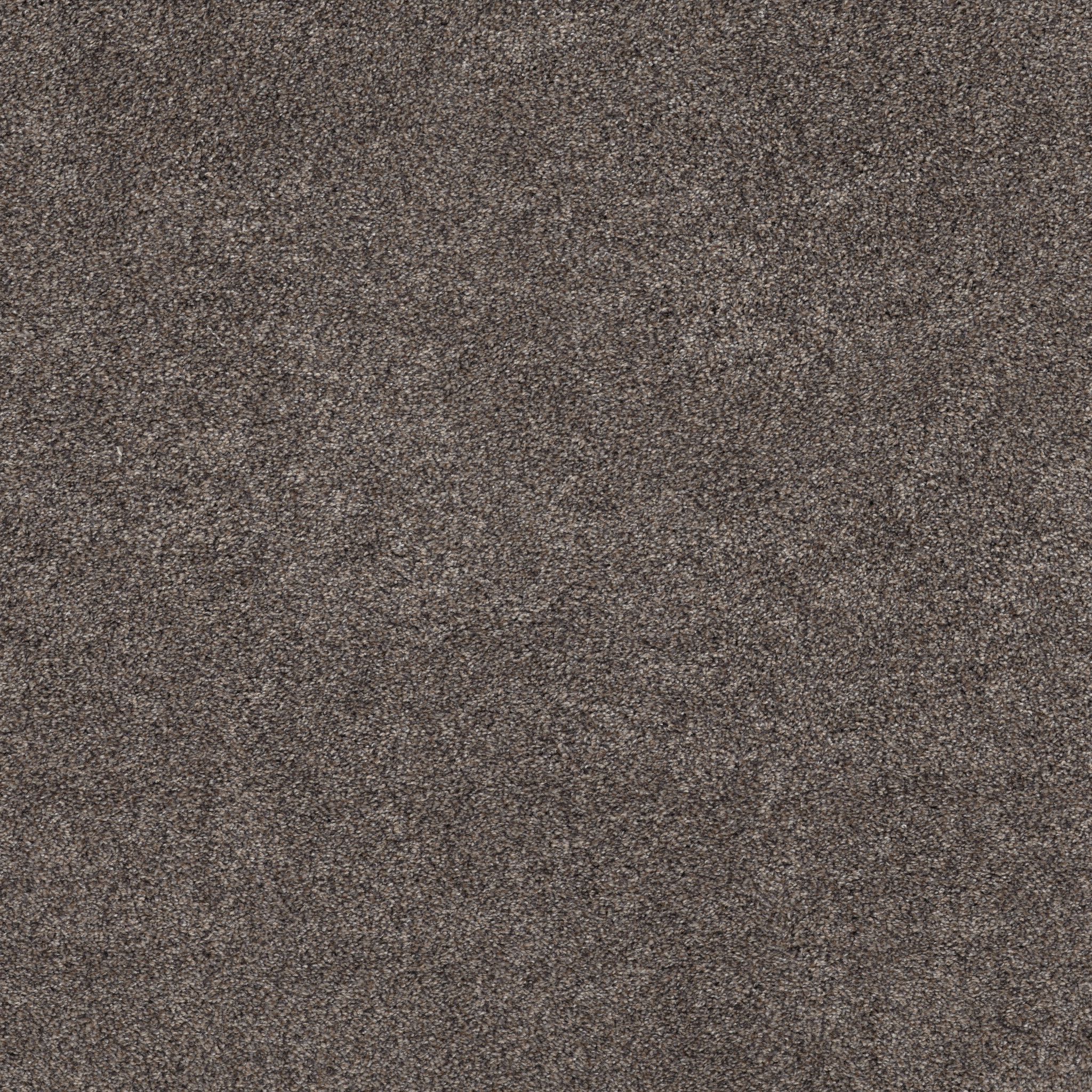 CALM SIMPLICITY II by Shaw Floors | Carpets in Dalton