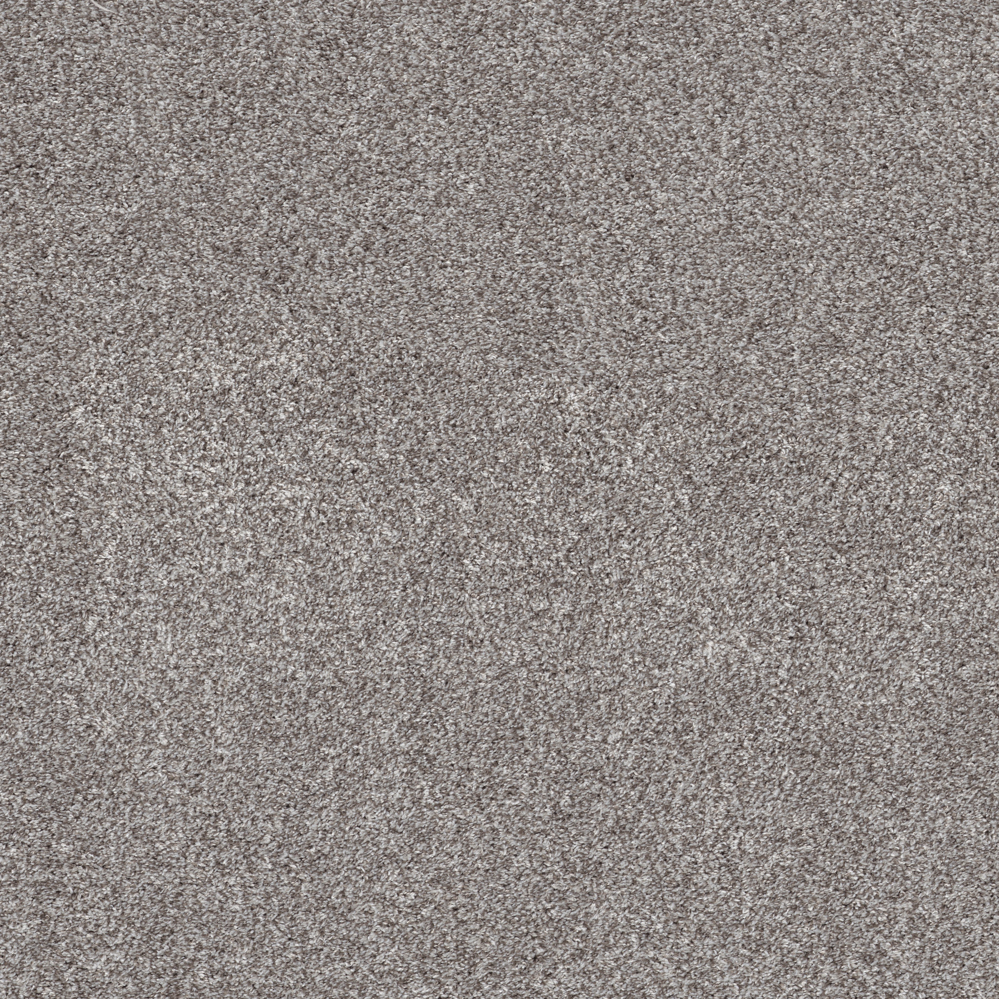 CALM SIMPLICITY I by Shaw Floors | Carpets in Dalton