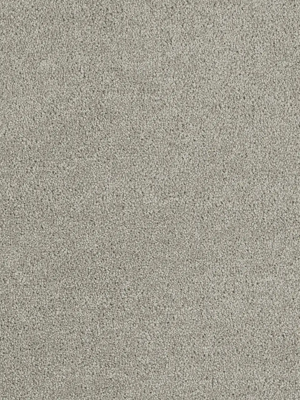 Hollywood by Engineered Floors Dreamweaver | Carpets in Dalton