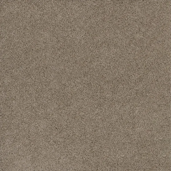 Stunning by Engineered Floors Dreamweaver | Carpets in Dalton