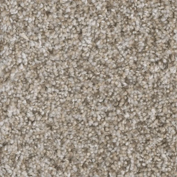 Jackson Hole I by Engineered Floors Dreamweaver | Carpets in Dalton