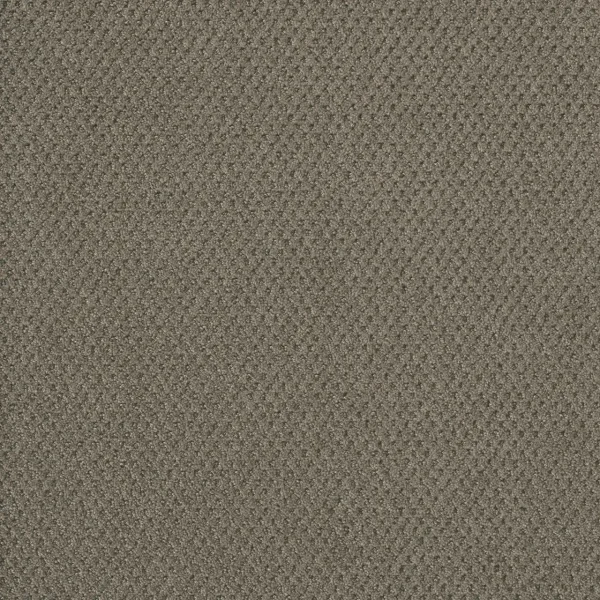 Prime by Engineered Floors Dreamweaver | Carpets in Dalton