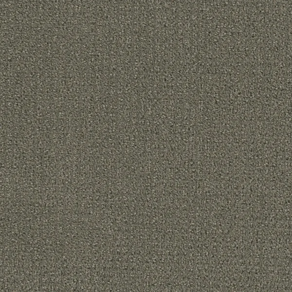 Pinpoint by Engineered Floors Dreamweaver | Carpets in Dalton