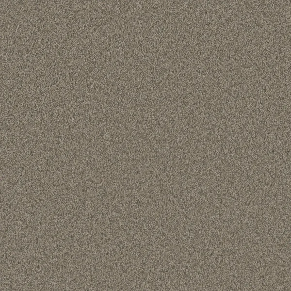 Blazer I by Engineered Floors Dreamweaver | Carpets in Dalton