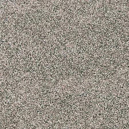 Paw Pathway by Mohawk | Textured Carpet | Residential