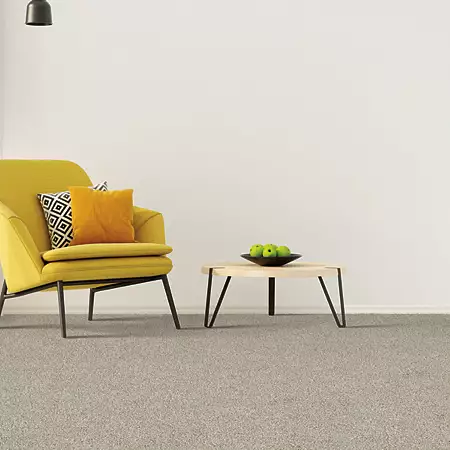 Gentle Path by Mohawk | Textured Carpet | Wall-to Wall