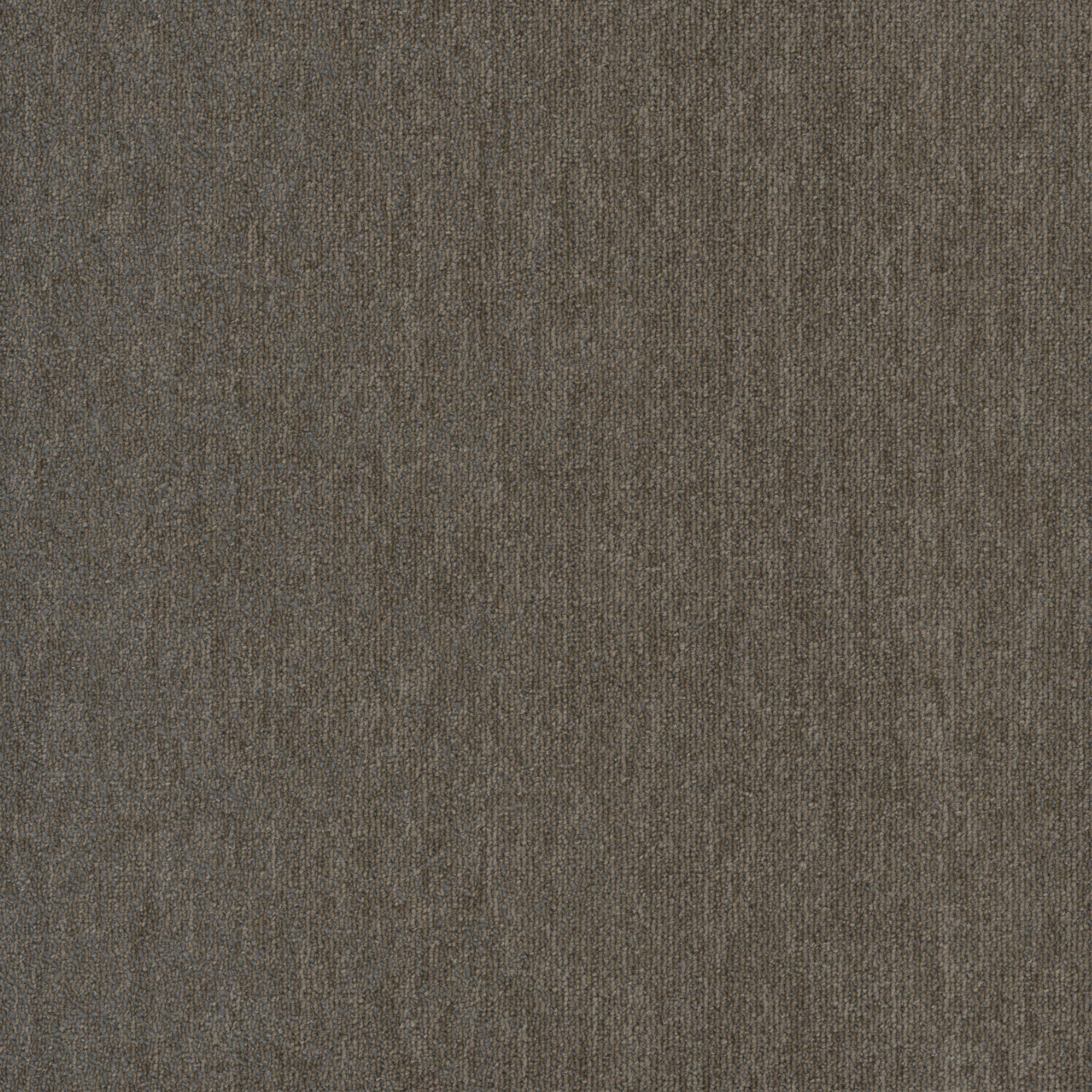 Maracanda by Stanton Carpet | Carpets in Dalton